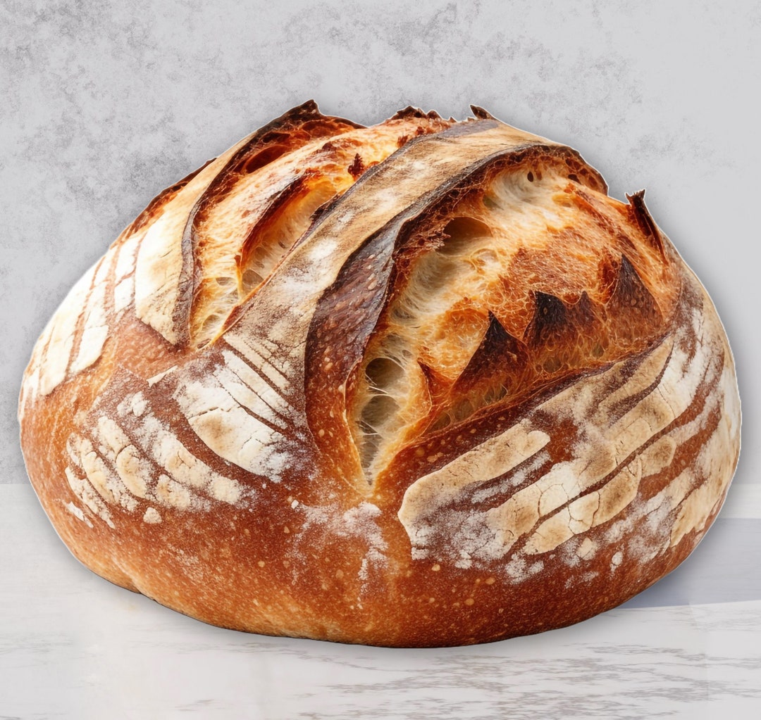 Over 100 Years Old Sourdough Starter Dried San Francisco Bakery Bread ...