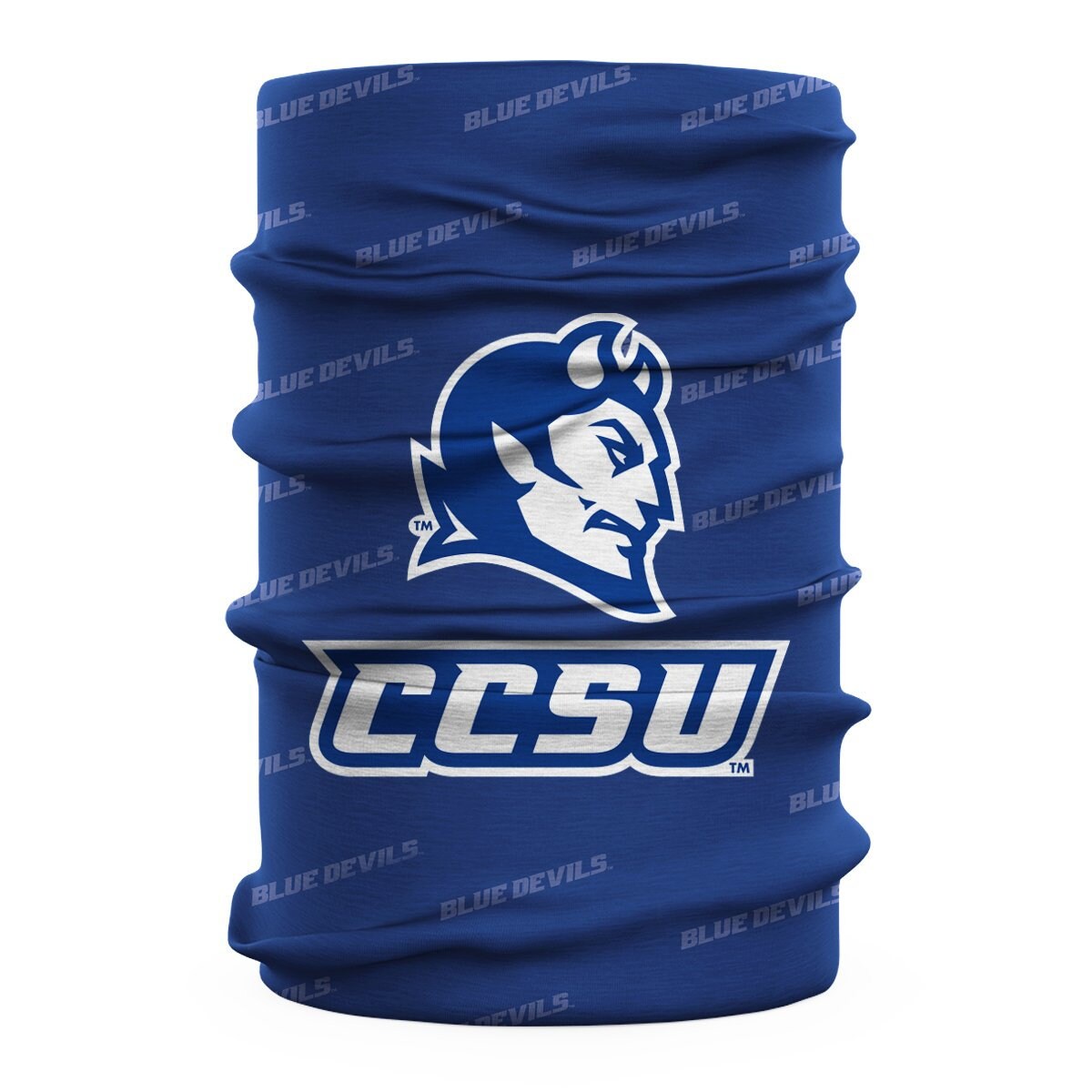 Ccsu Logo