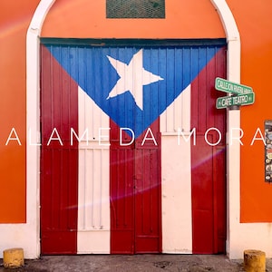 Old San Juan, Puerto Rico Flag Mural on Garage Doors - Wood Ornament - Etsy