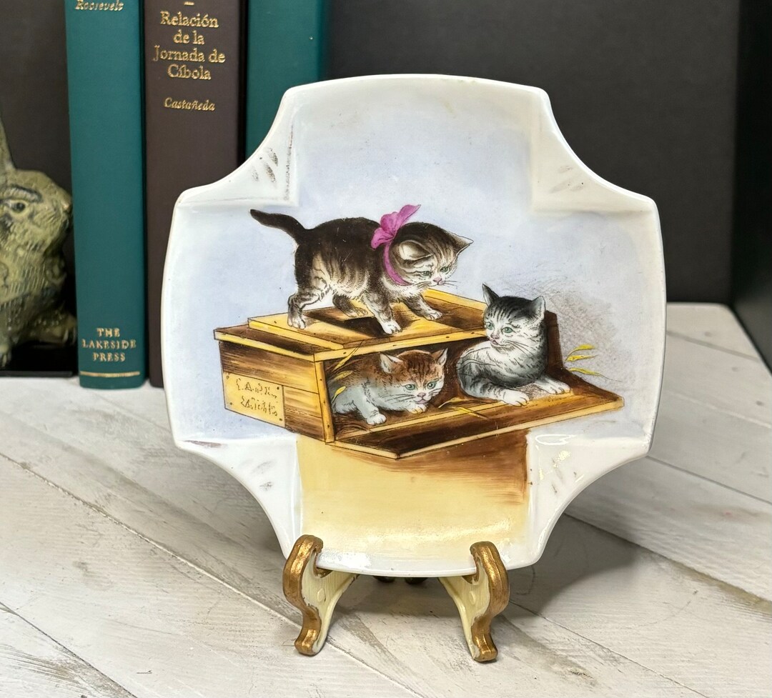 Playful Kittens Trinket Dish, Painted Cat Trinket Dish, Small - Etsy
