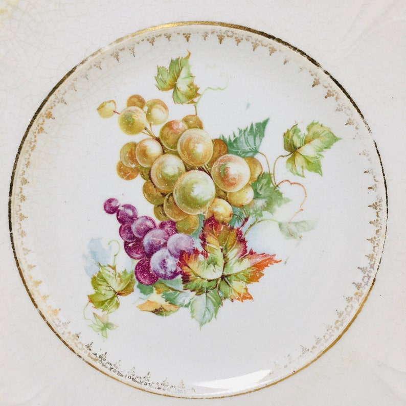 Antique Stinthal China Grape & Vine Porcelain Plate, Fruit Plate ...