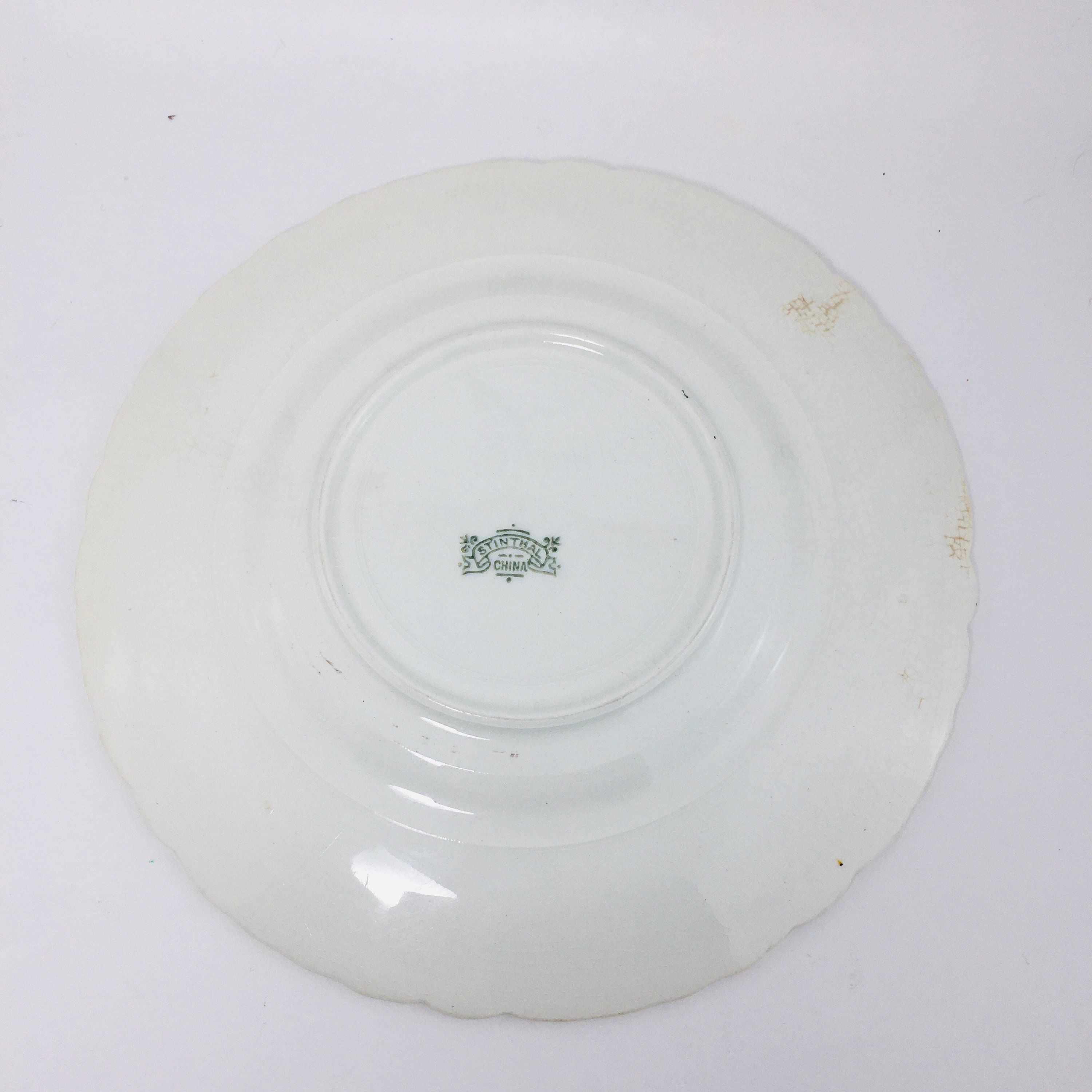 Antique Stinthal China Grape & Vine Porcelain Plate, Fruit Plate ...