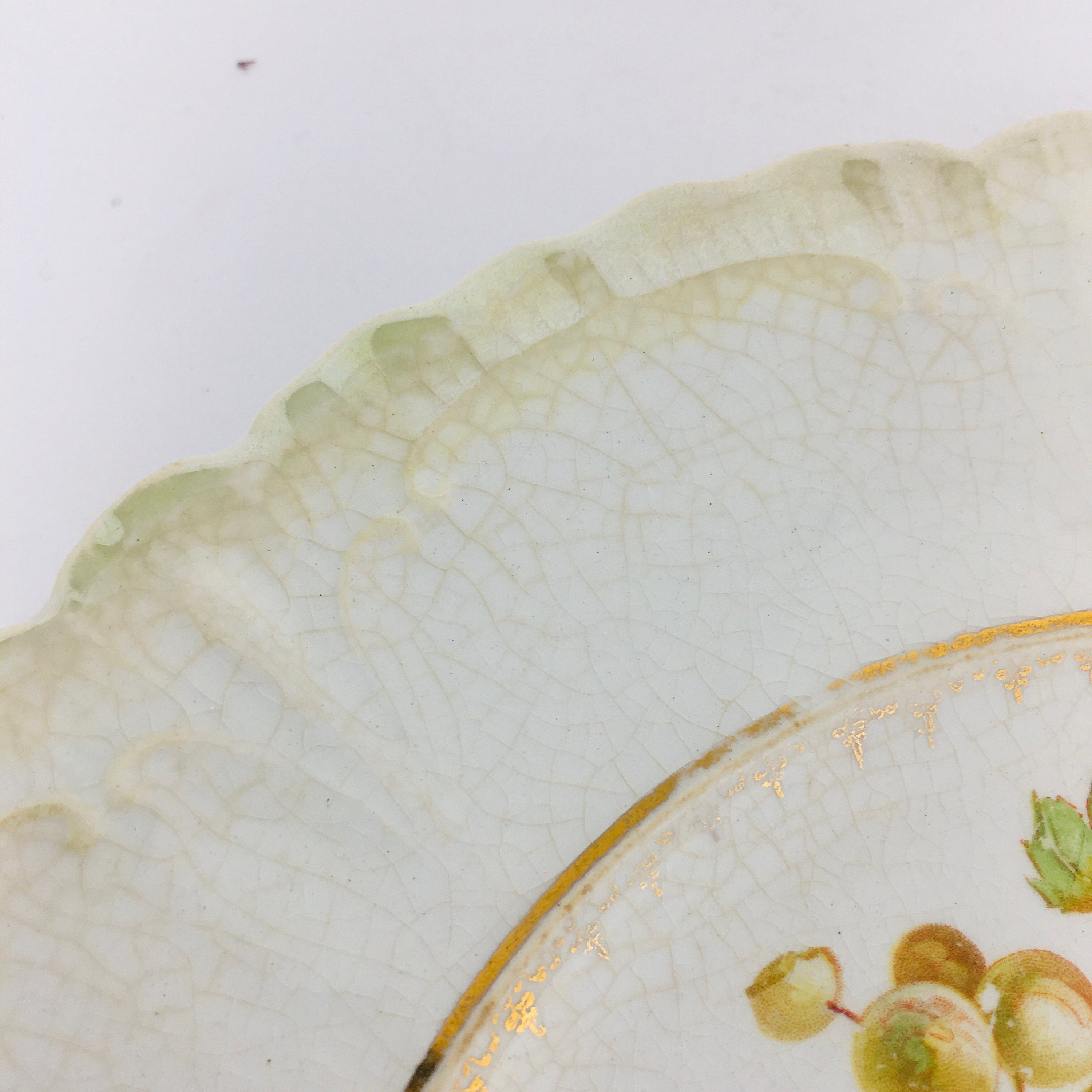 Antique Stinthal China Grape & Vine Porcelain Plate, Fruit Plate ...