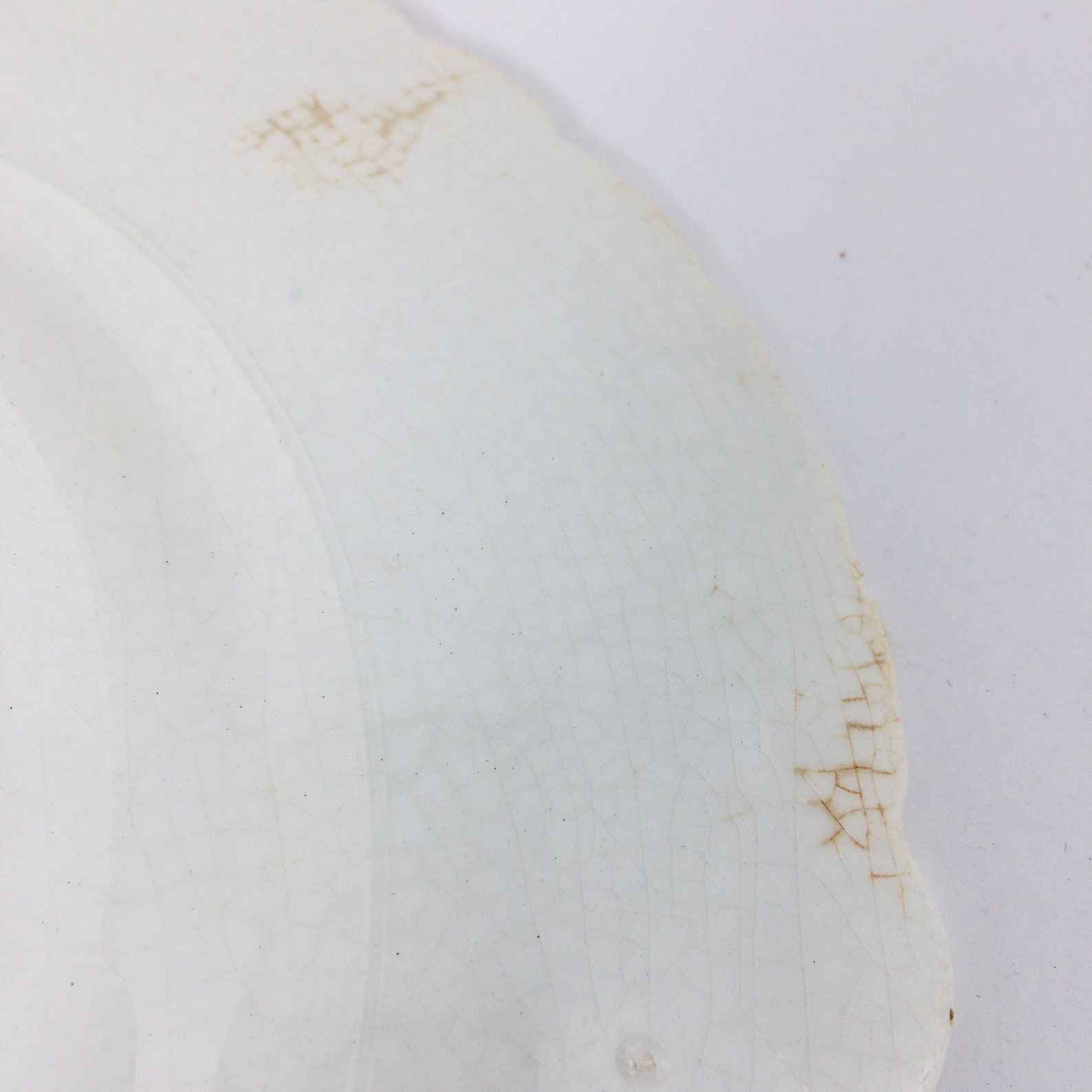 Antique Stinthal China Grape & Vine Porcelain Plate, Fruit Plate ...