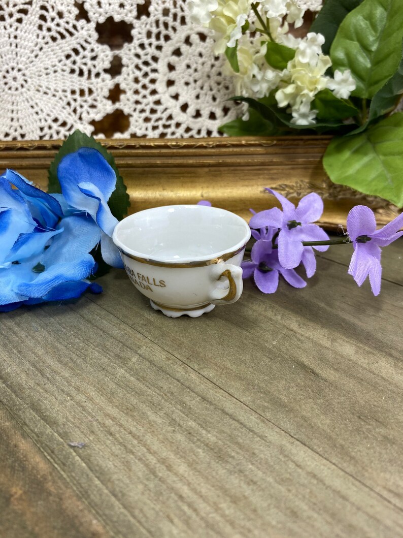Niagara Falls Canada Souvenir Tea Cup, Vintage Miniature Niagara Falls ...