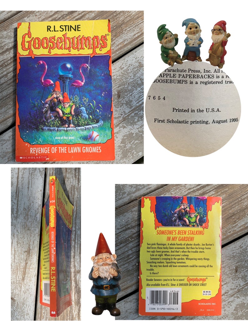 Vintage R.L. Stine Goosebumps Books Revenge of the Lawn - Etsy