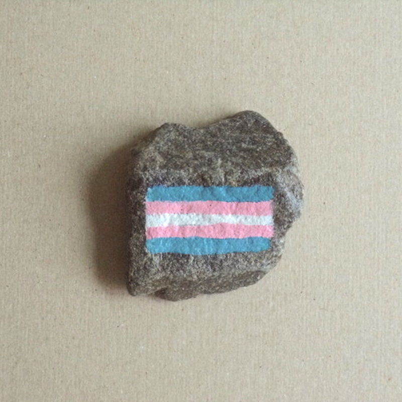 Femboy Pride Flags - Etsy