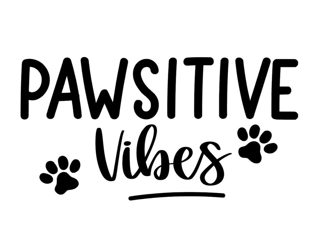 Pawsitive Vibes Iron on Decal: Dog Shirt Heat Transfer - Etsy