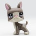 LPS Cute Camel 997 Authentic Littlest Pet Shop Hasbro Collector Toys My ...