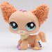 LPS | Littlest Pet Shop | #2514 Chihuahua | Hasbro | Collector Toys ...