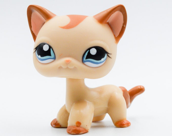 LPS | Littlest Pet Shop | #1023 Shorthair Cat | Hasbro | Collector Toys ...
