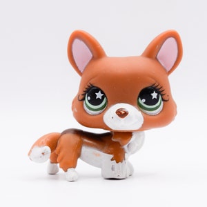 LPS Littlest Pet Shop 897 Corgi Hasbro Collector Toys Petshop My ...