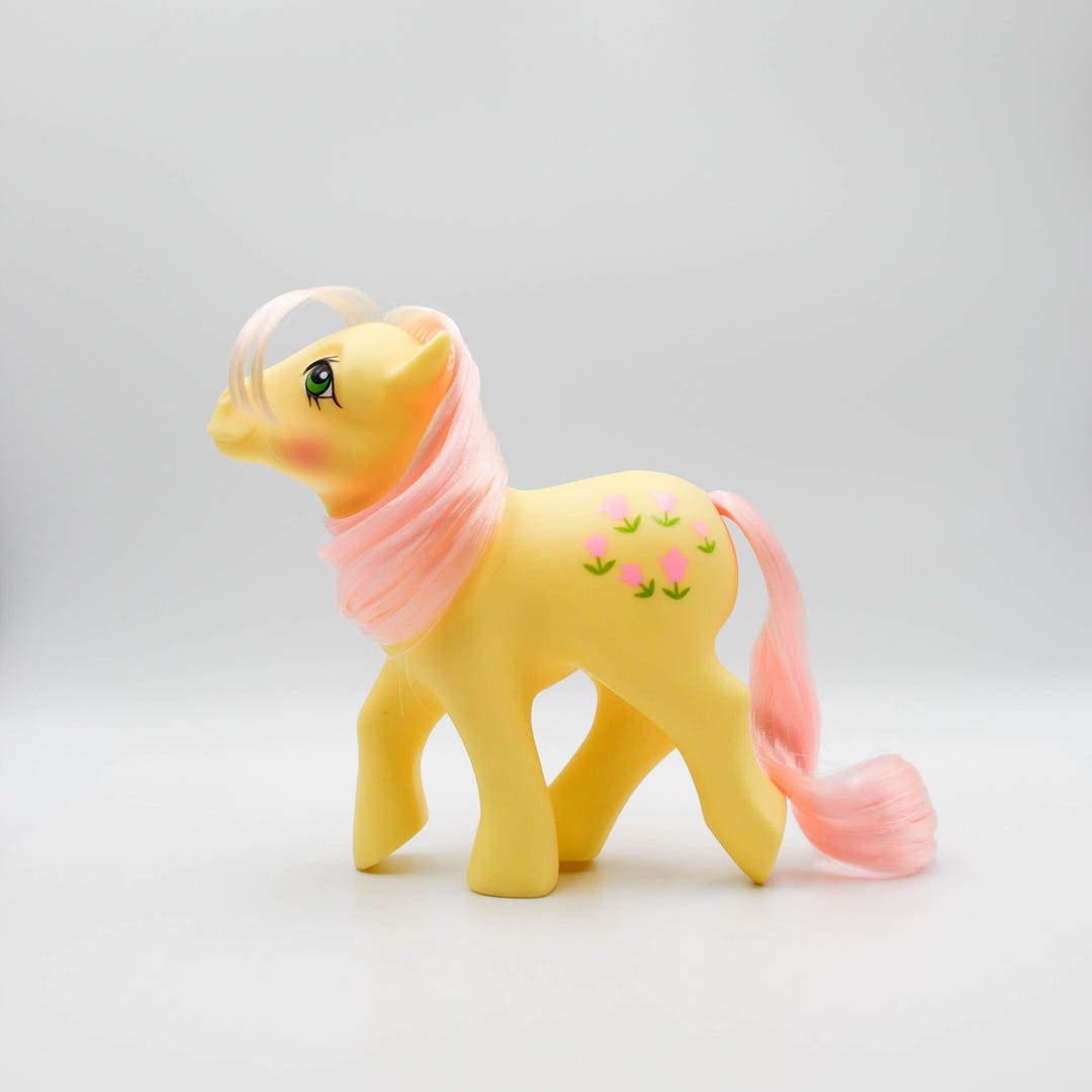 My Little Pony Posey G1 Hasbro Toy Collector Vintage My Little Pony ...