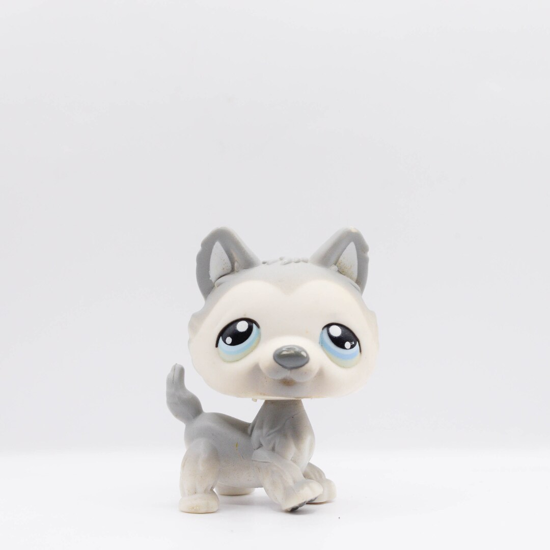 LPS Littlest Pet Shop 69 Husky Hasbro Collector Toys Petshop - Etsy