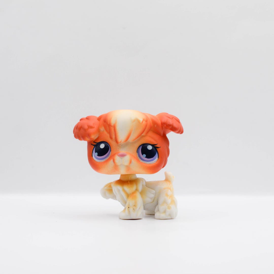 LPS | Sweet Poodle #37 | Authentic Littlest Pet Shop | Hasbro ...