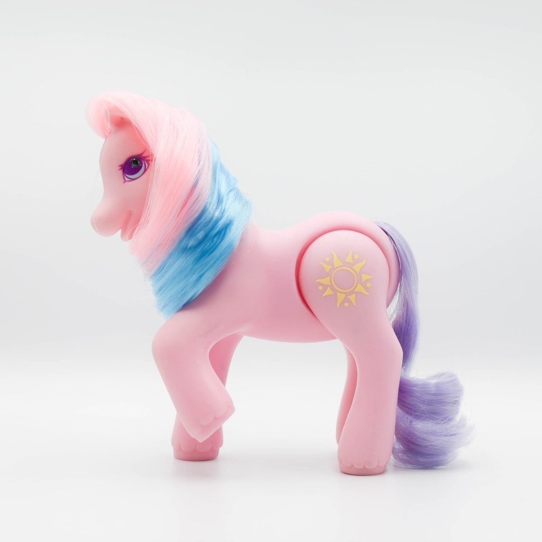 Beach Cam Pink Pony