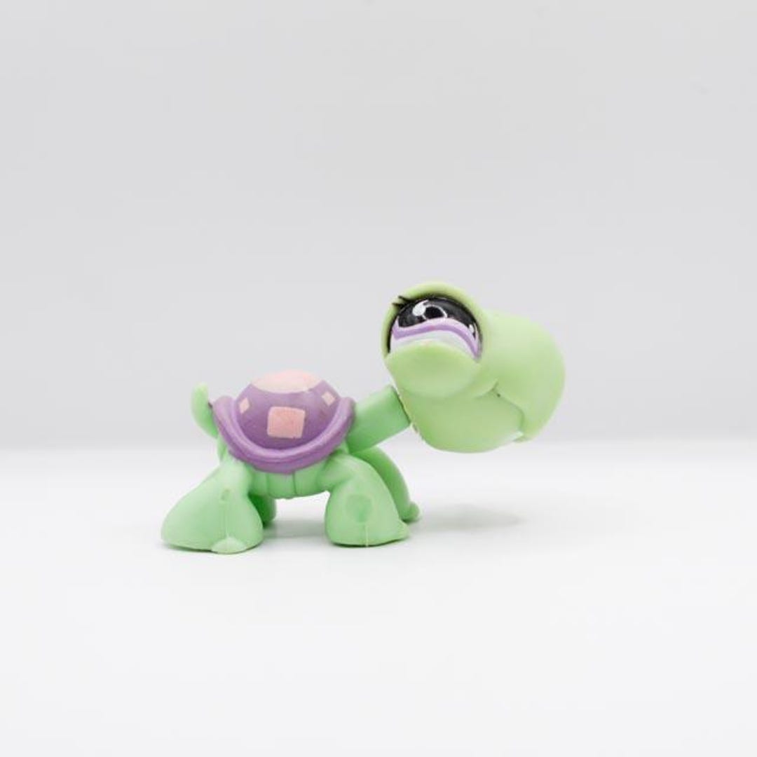 LPS | Cute Turtles #566 | Authentic Littlest Pet Shop | Hasbro ...
