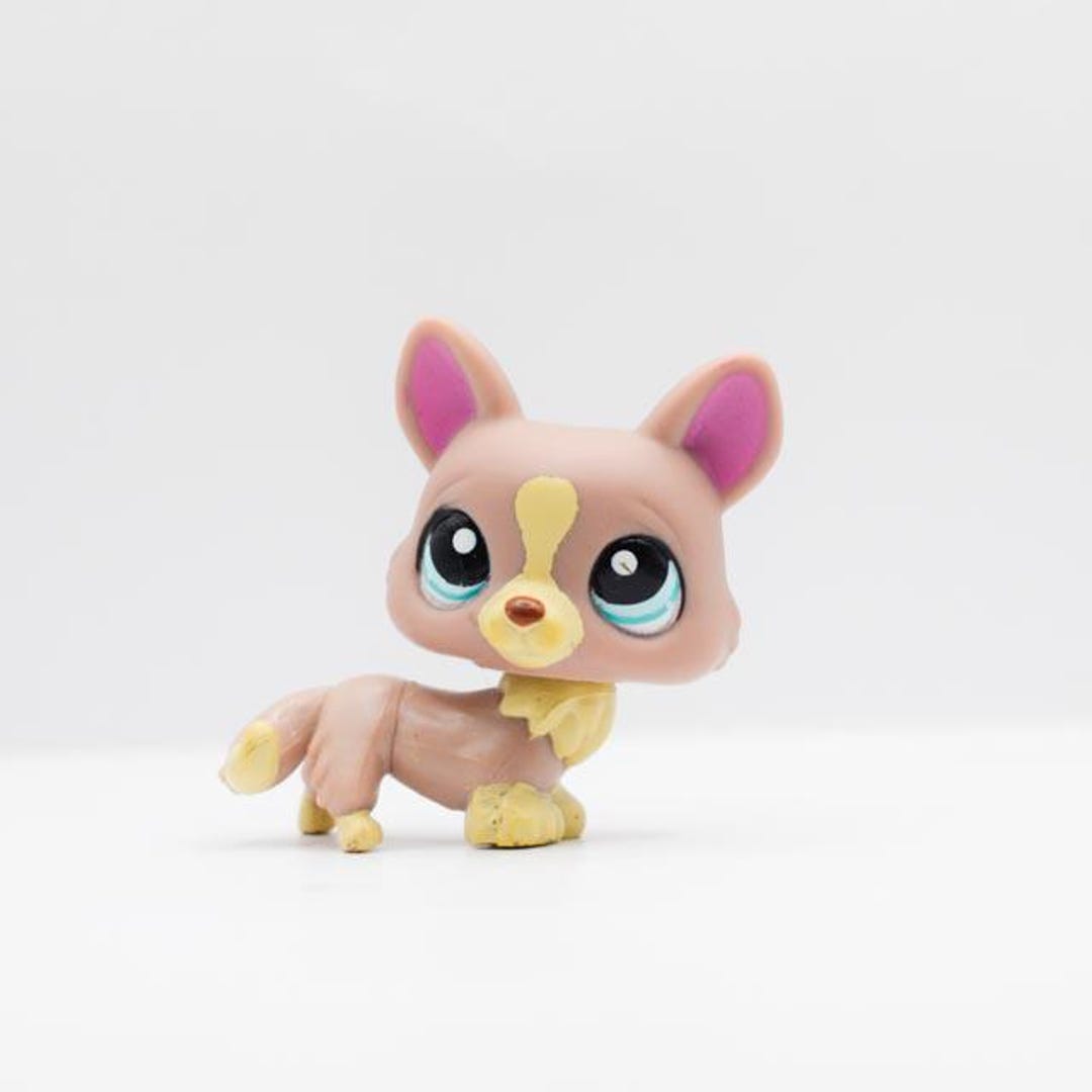 LPS | Cute Corgi #1158 | Authentic Littlest Pet Shop | Hasbro ...