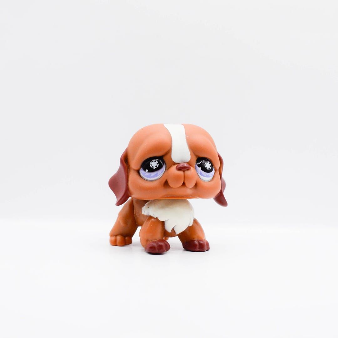 LPS Littlest Pet Shop 688 St. Bernard Hasbro Collector Toys Petshop - Etsy