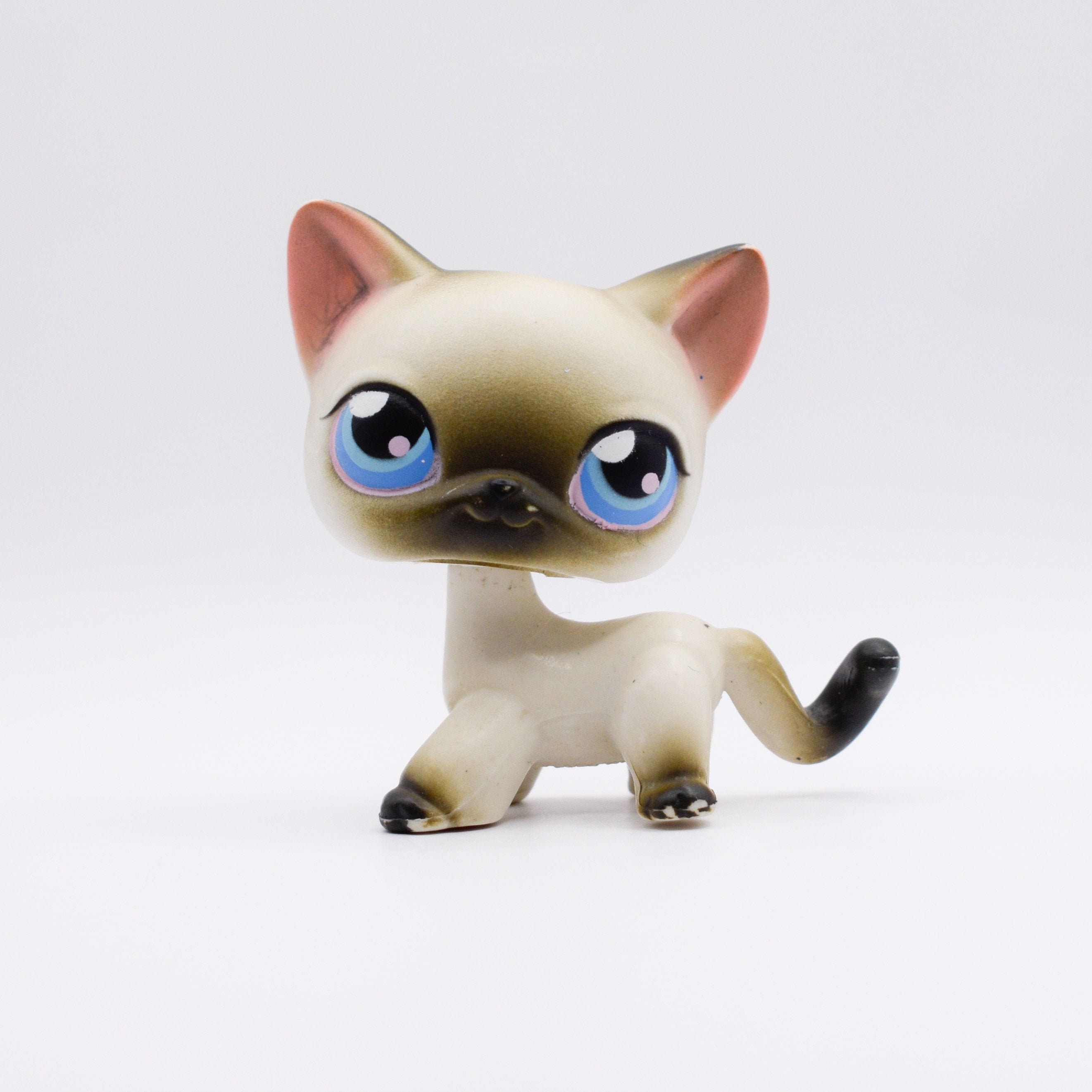 LPS Littlest Pet Shop 5 Siamese Shorthair Cat Hasbro Collector Toys Petshop Authentic Littlest Pet Shop Etsy India