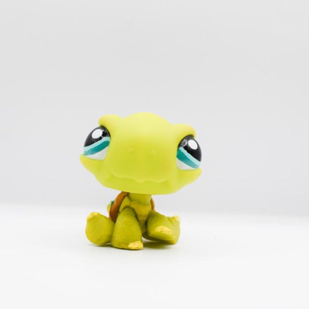LPS | Cute Turtles #971 | Authentic Littlest Pet Shop | Hasbro ...