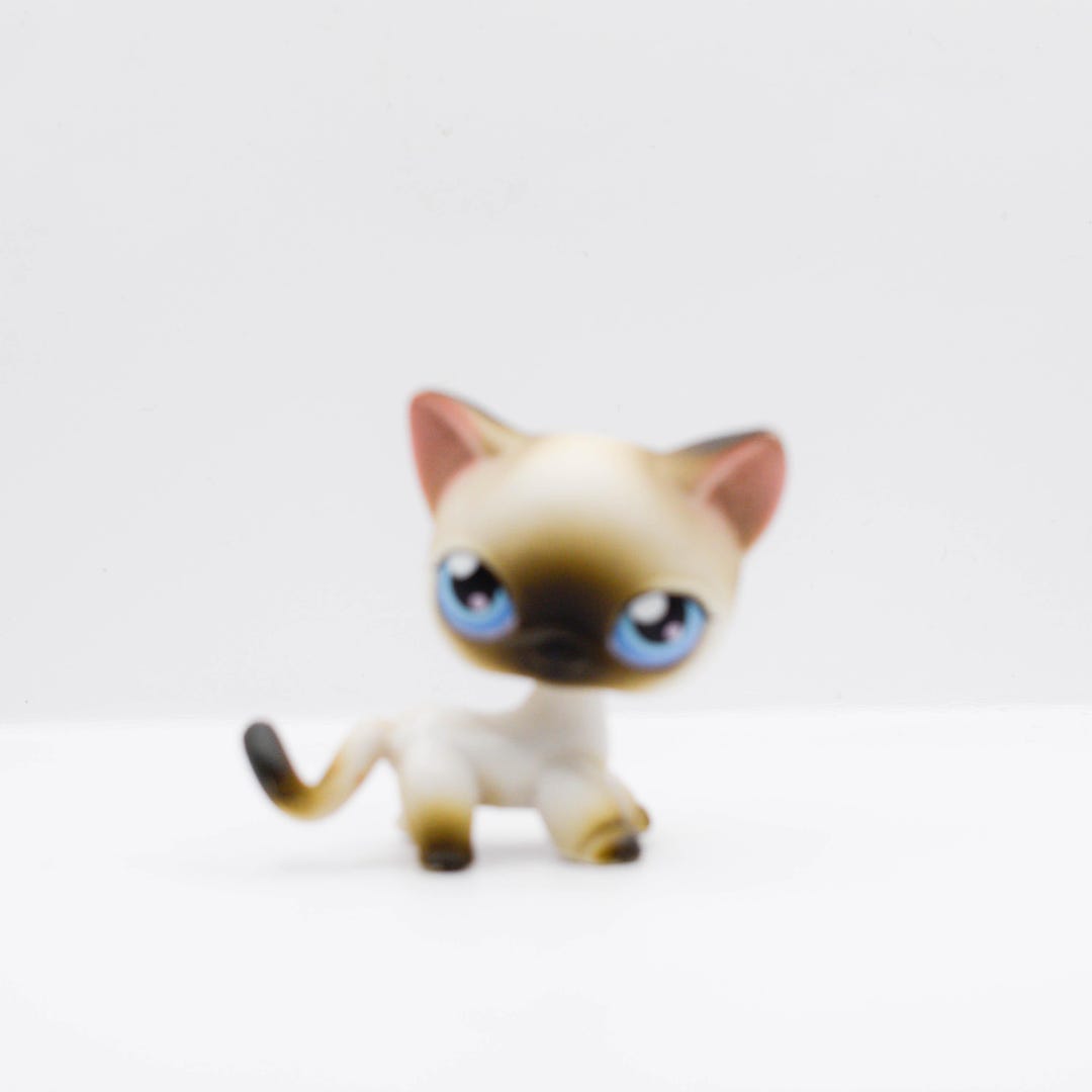 LPS | Littlest Pet Shop | #5 Siamese Shorthair Cat | Hasbro | Collector ...