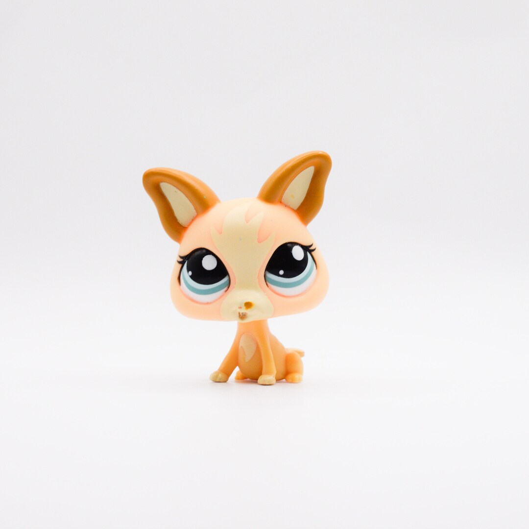 LPS Littlest Pet Shop 1656 Chihuahua Hasbro Collector Toys Petshop ...