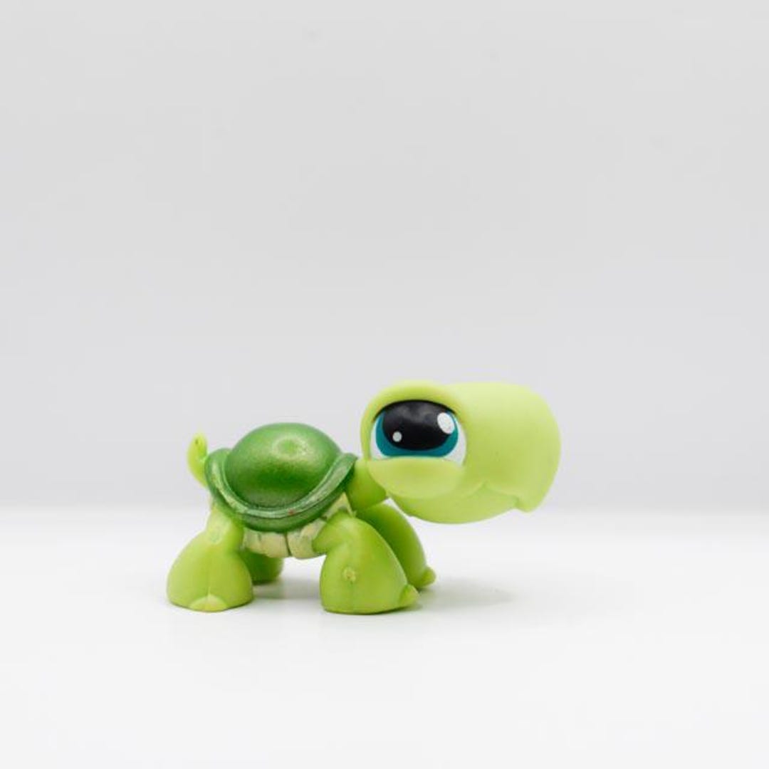 LPS Cute Turtles 187 Authentic Littlest Pet Shop Hasbro Collector Toys ...