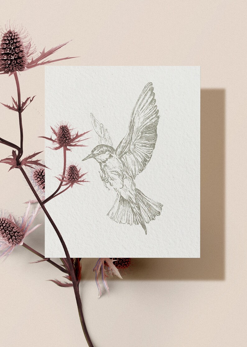 Birds Illustrations - Printable - Bird Print - Bird Wall Art - Home ...