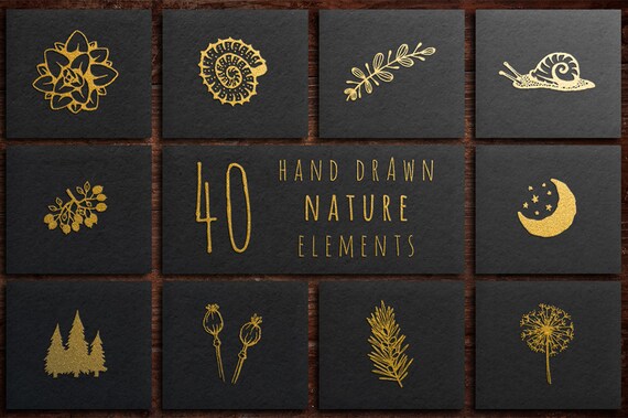 40 Hand Drawn Nature Elements Botanical Illustrations Hand - Etsy