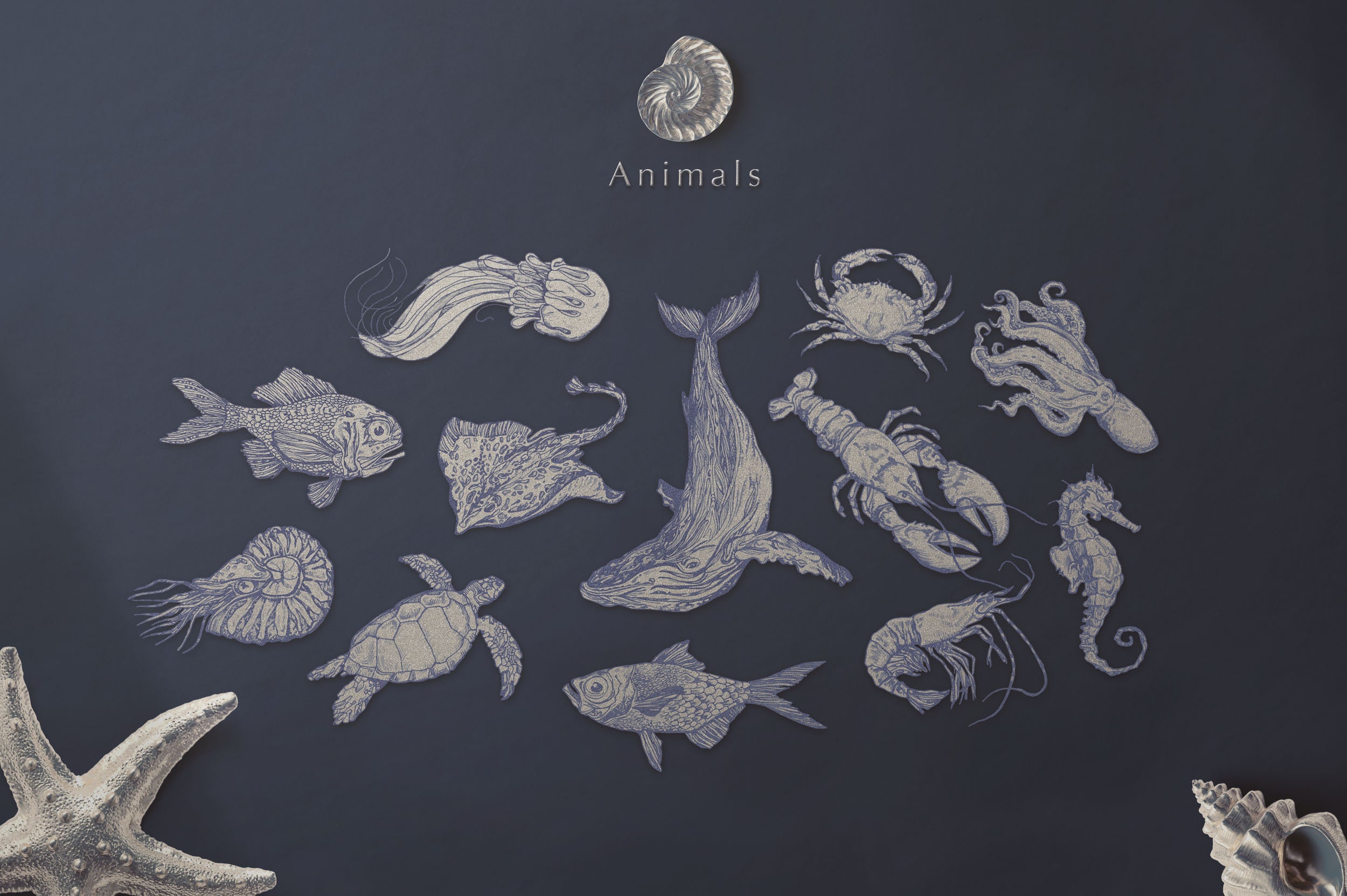 Silver Breeze Collection - Marine - Sea - Illustrations - Elements ...