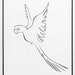 Minimalist Parrot One Line Art, Abstract Animal Drawing Print, Outline ...