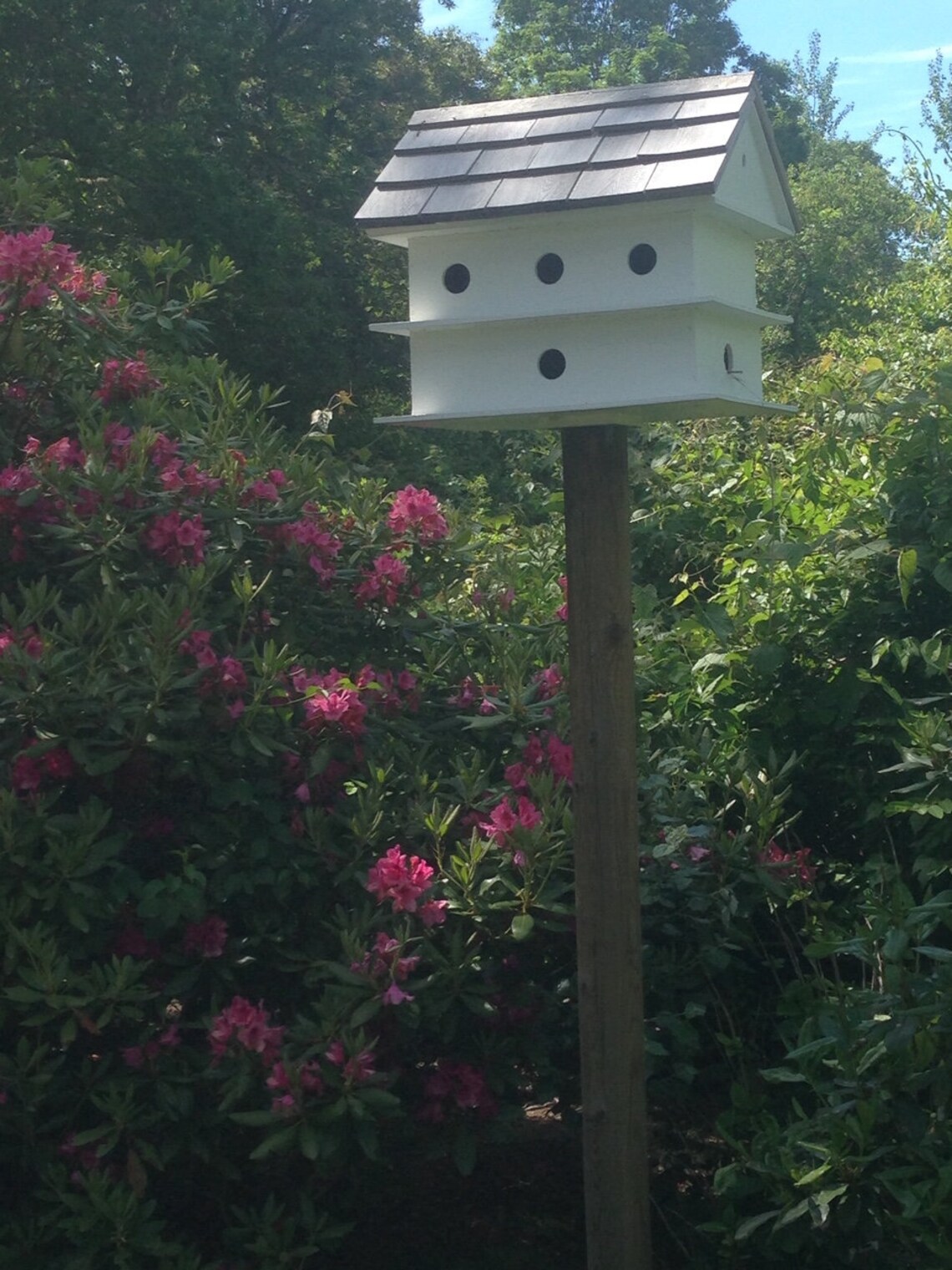 Purple Martin Birdhouse birdello Birdhouse Bird - Etsy