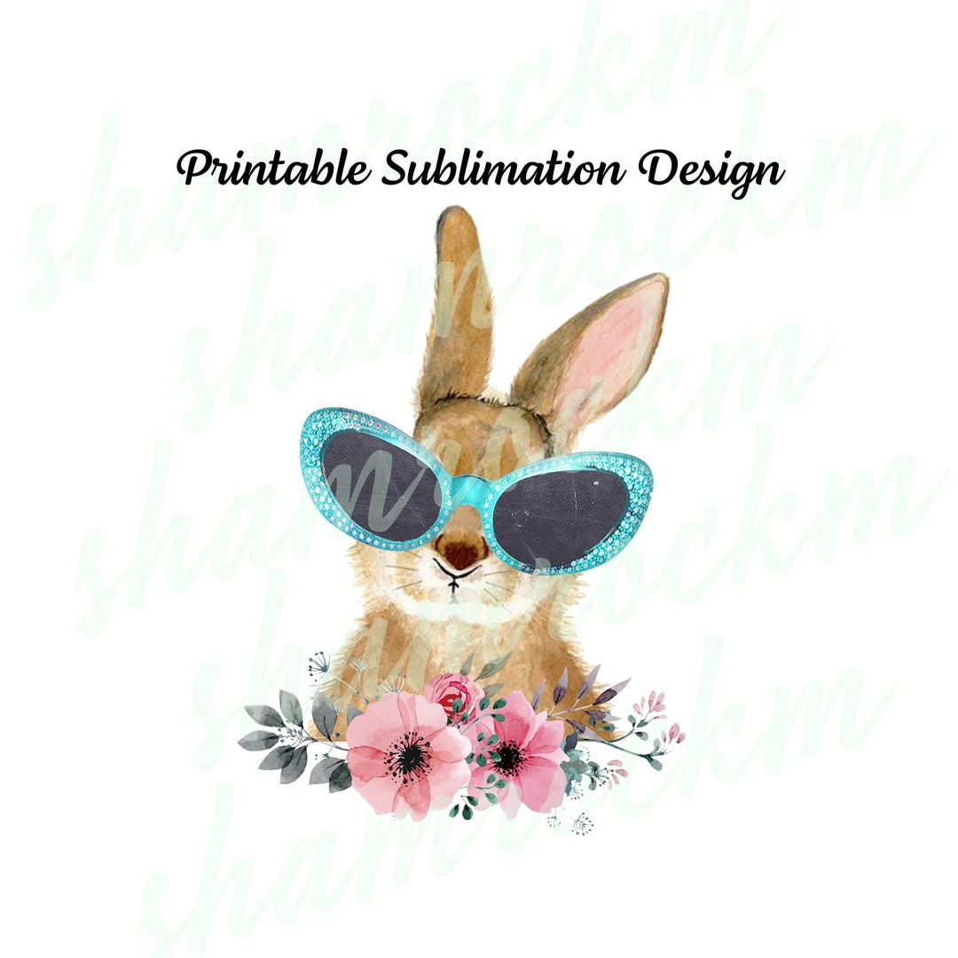 Cool Bunny, Png Images With Transparent Background, High Resolution 300 ...