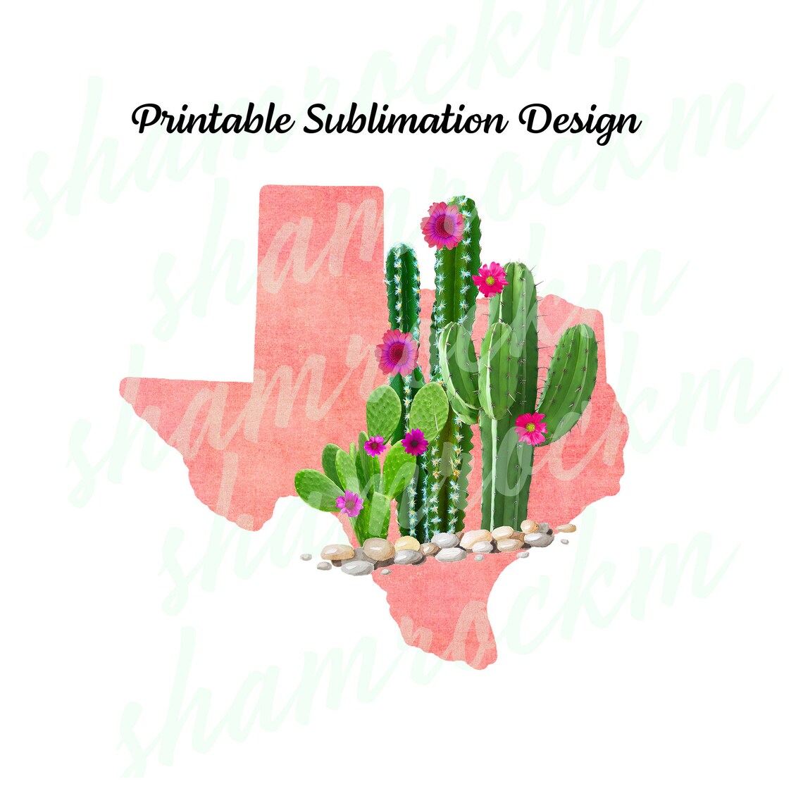 Printable Sublimation Design Texas Cactus Png Images With - Etsy