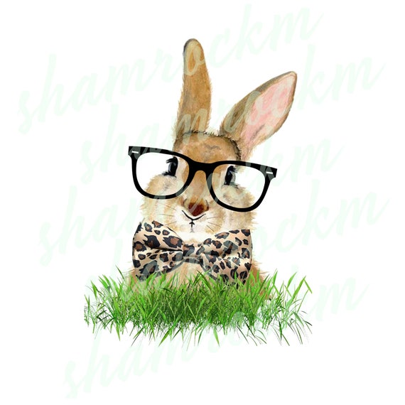 Cool Bunny 3 png images with transparent background high | Etsy