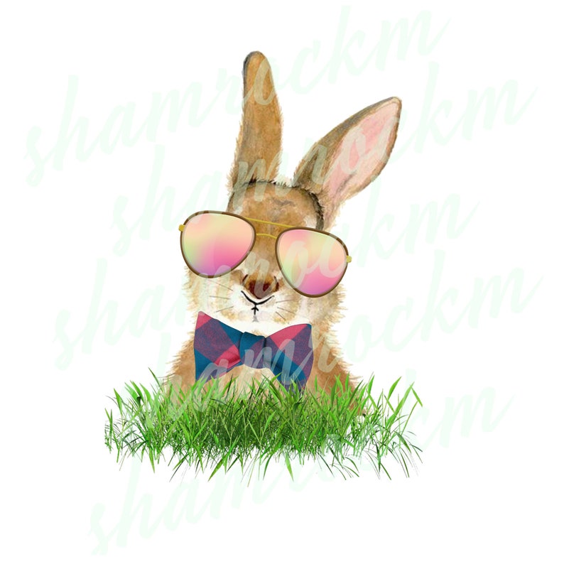 Cool Bunny 4 Png Images With Transparent Background High | Etsy