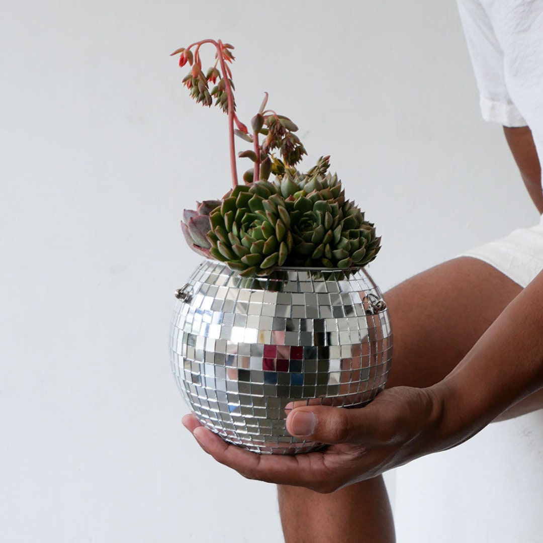 Disco Ball & Succulents Kit - Etsy