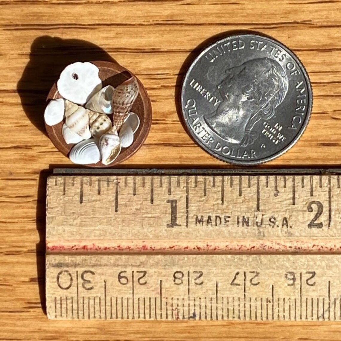 Dollhouse Miniature Seashells and Sand Dollar in Wooden Bowl | Etsy