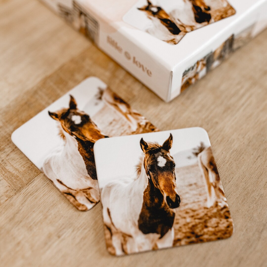 Memory Memo Game horse for Children / Gift Idea - Etsy