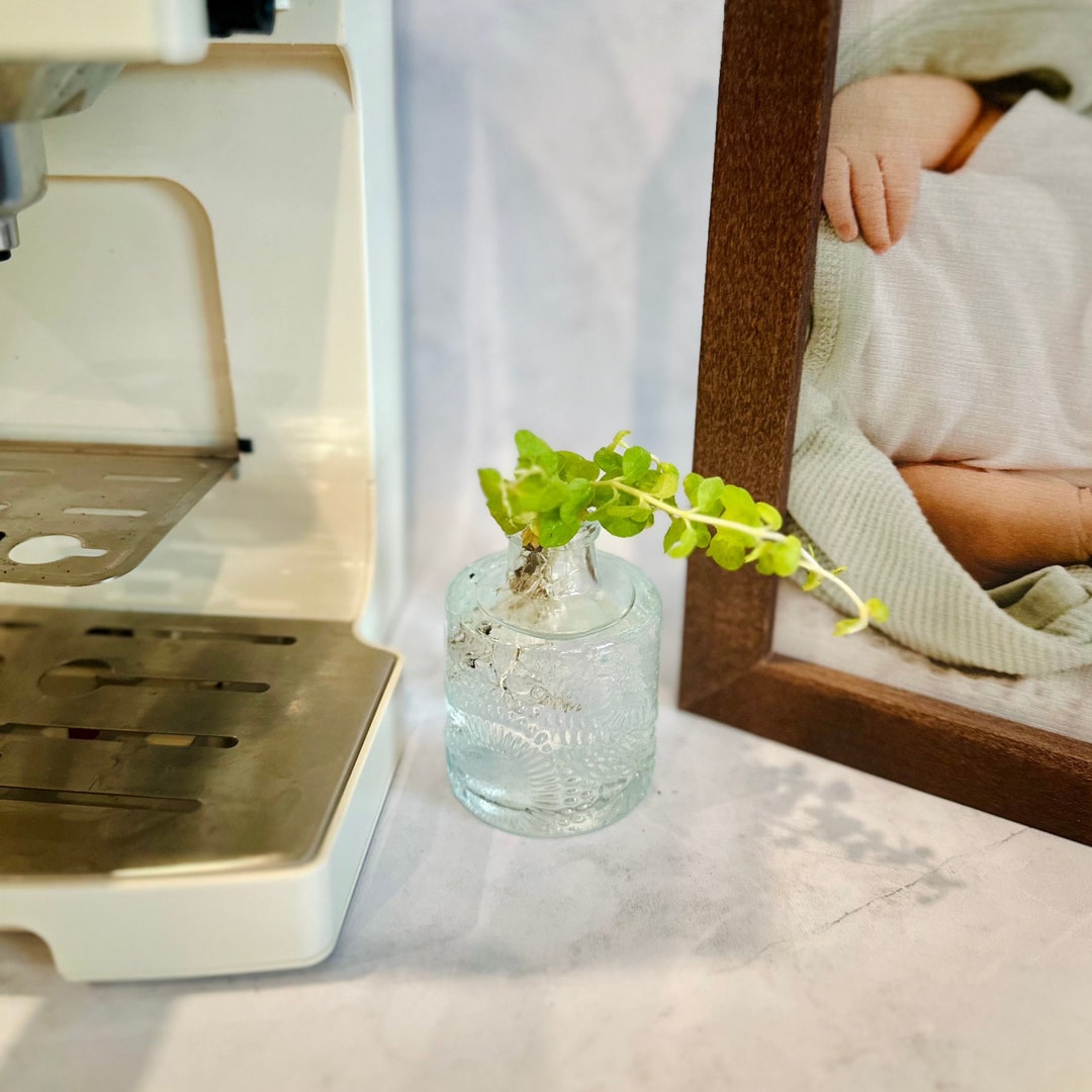 Aquamarine H2O Propagation Jar - Etsy