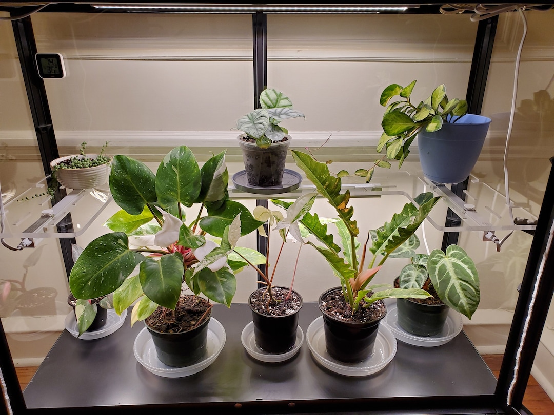 Acrylic Milsbo Wide 3/8" Shelves, Ikea Greenhouse - Etsy