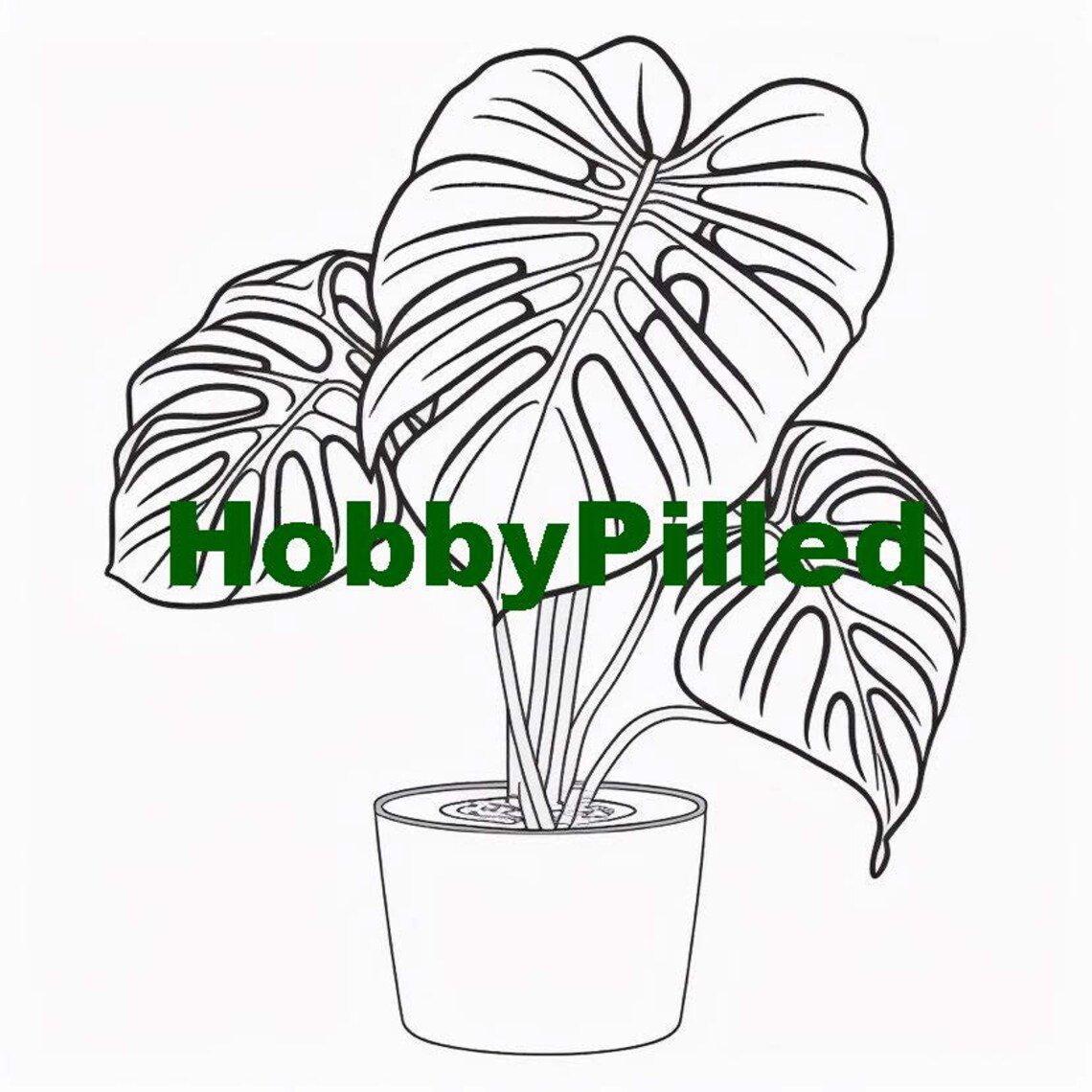 20 Printable Houseplant Coloring Book Pages - Etsy