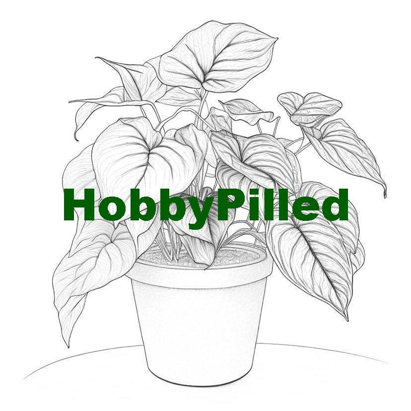 20 Printable Houseplant Coloring Book Pages - Etsy