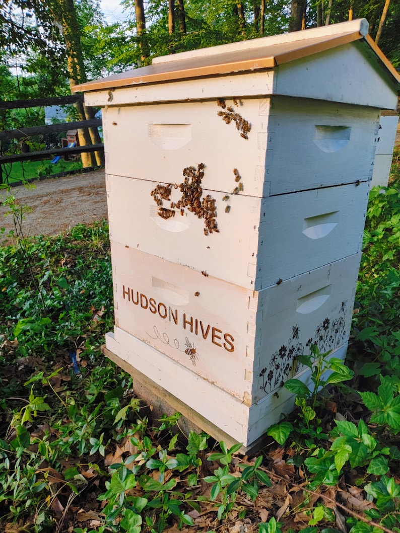 Beehive Box | Personalized Custom Laser Engraved | Langstroth Brood ...