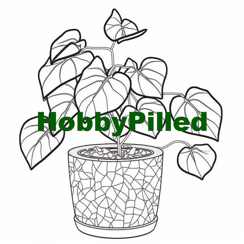 20 Printable Houseplant Coloring Book Pages - Etsy