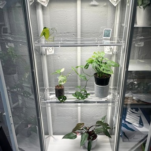 Acrylic Milsbo Tall Shelves 3/8" Thick - Etsy