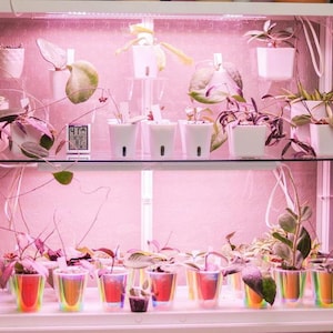 Milsbo Wide Pegboard - Ikea Greenhouse - Clear Acrylic Pegboard - for ...