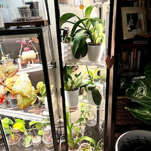 Blaliden Acrylic Shelves - 3/8" Clear - Ikea Greenhouse - Etsy