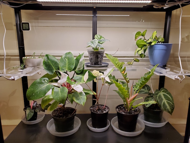 Acrylic Milsbo Wide 3/8 Shelves Ikea Greenhouse - Etsy